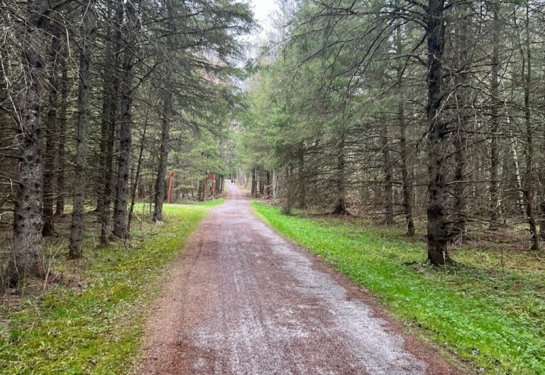 Parc national de la Yamaska : Votre Évasion Calme